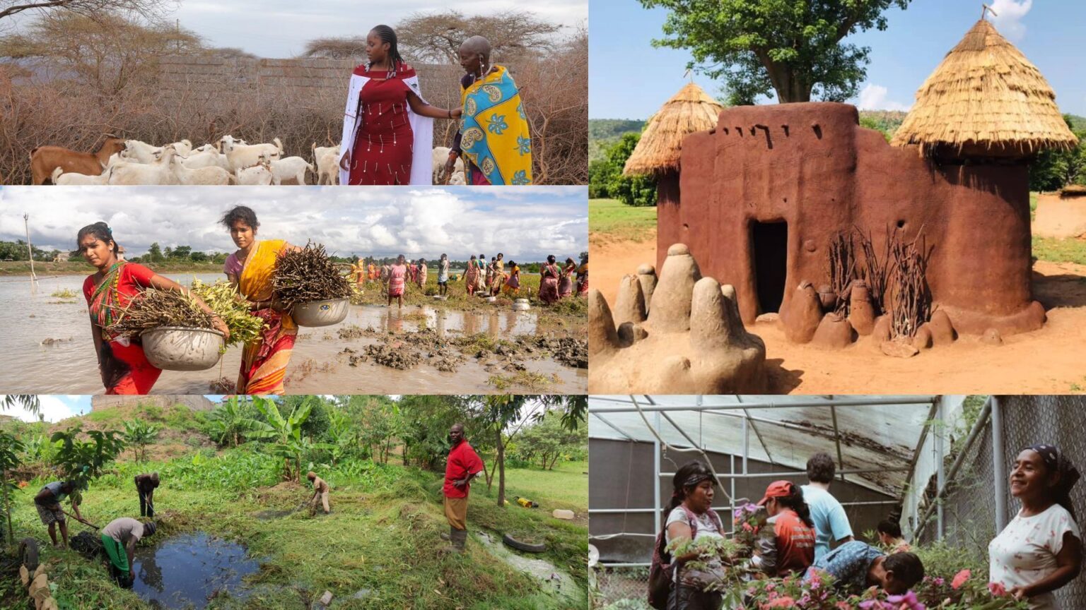 Young climate actors building resilient communities around the world ...