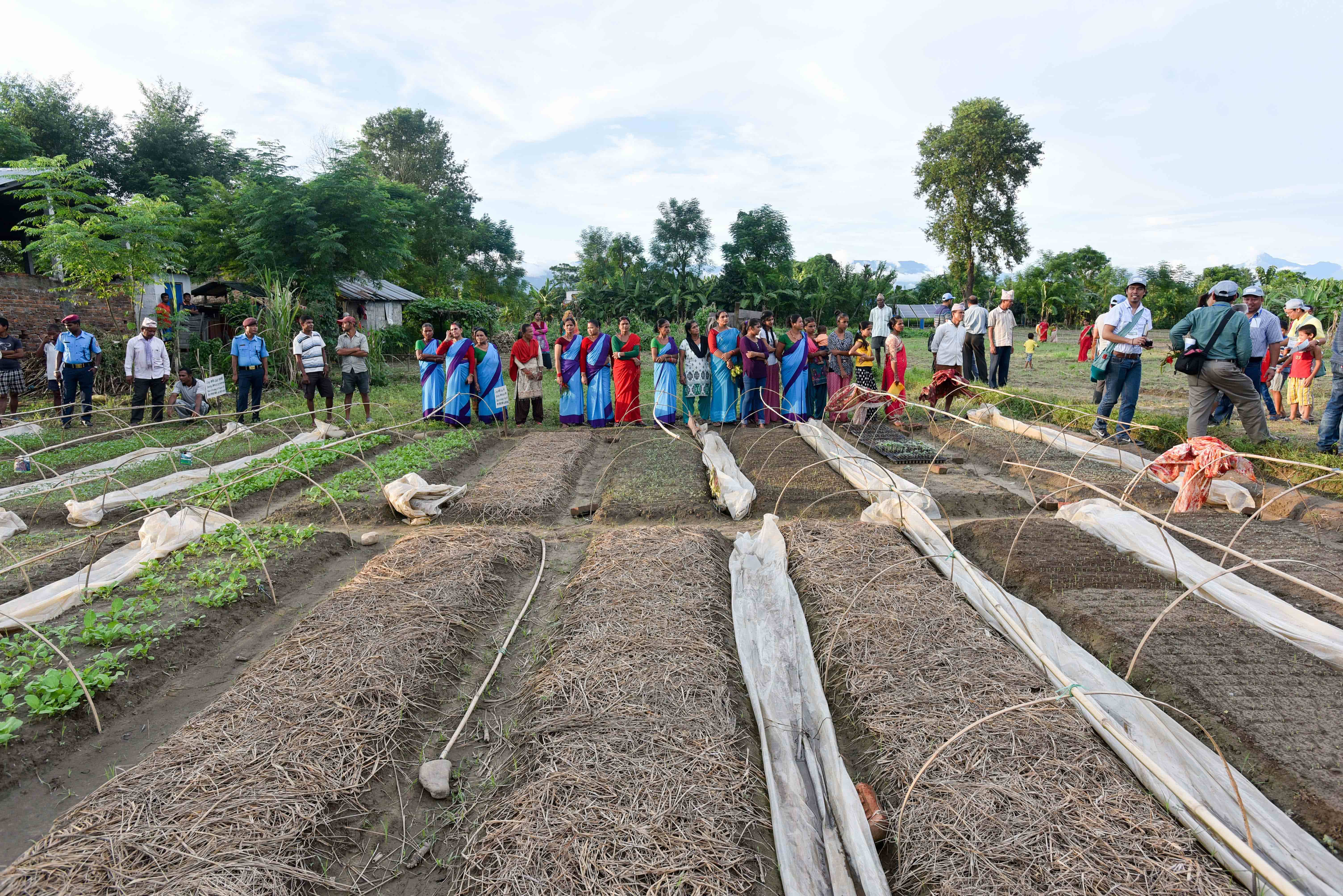 Climate-smart village in Nepal | Climate & Development Knowledge Network