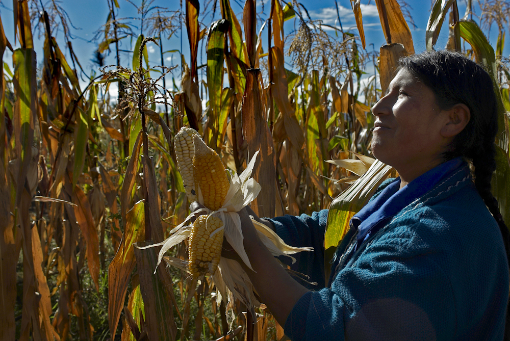 Integrating indigenous knowledge into disaster risk reduction ...