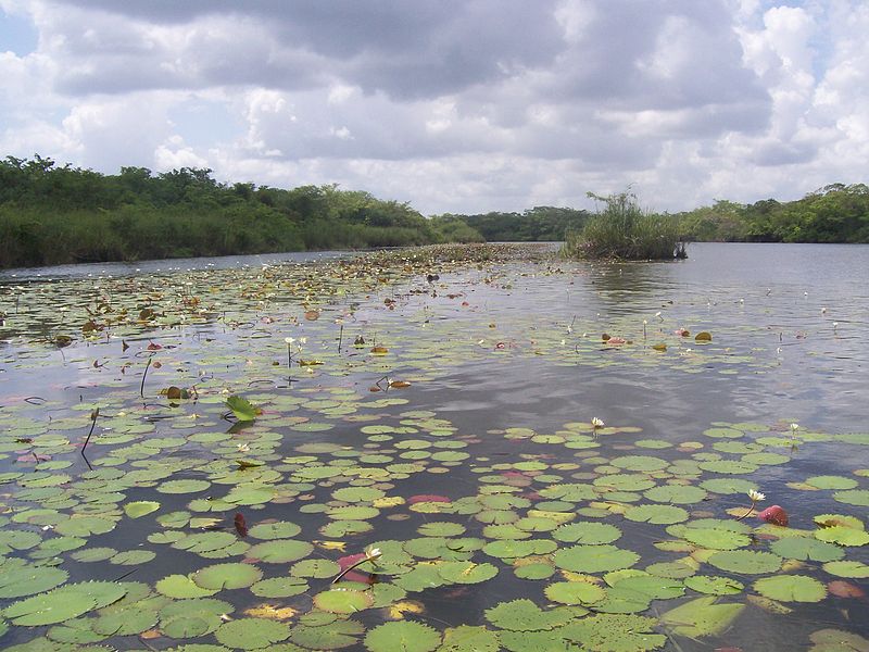 REPORT: Assessing the Potential Impacts of Climate Change on Belize’s ...