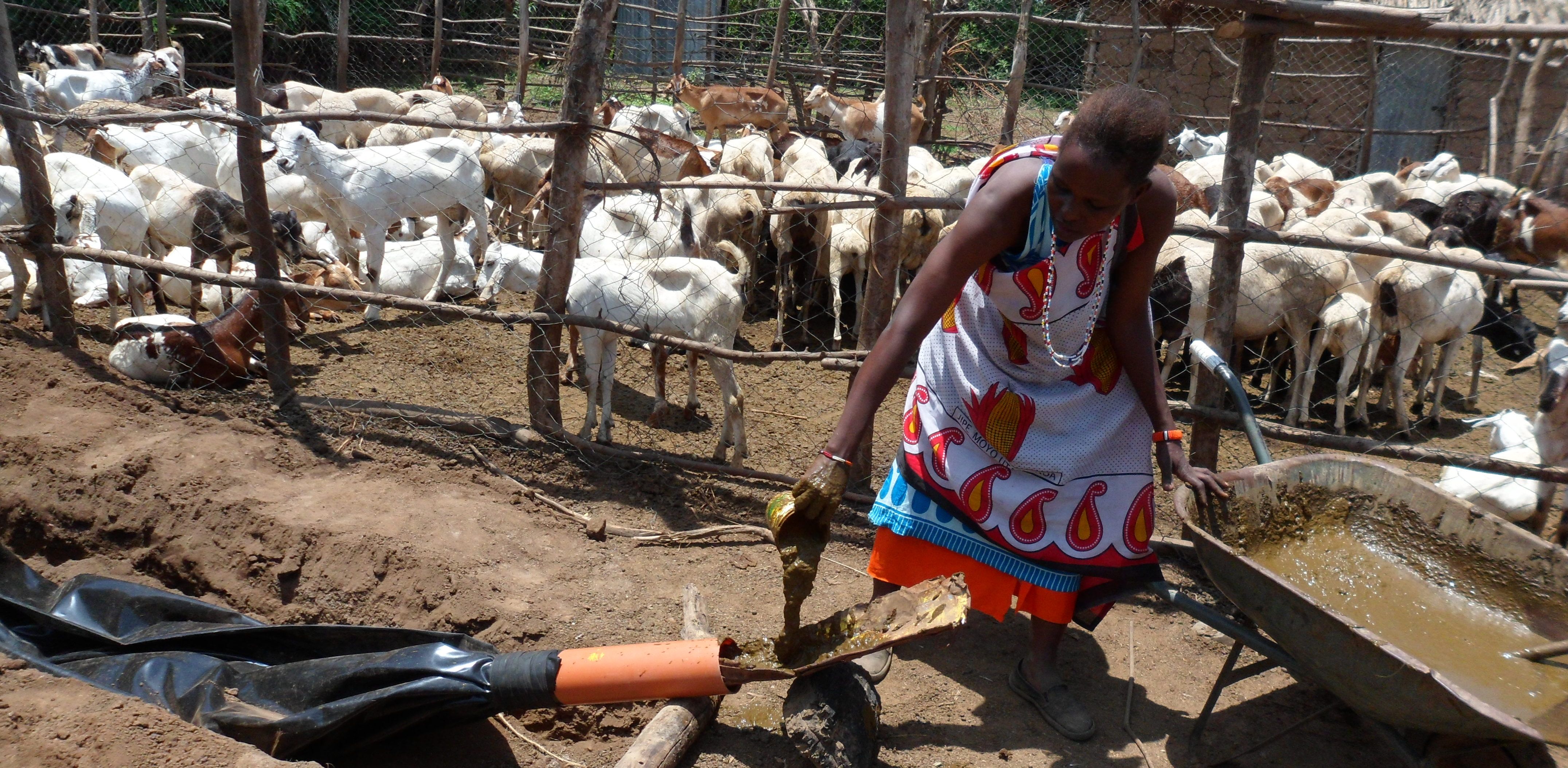 View new ALIN video on biogas cooking in rural Kenya | Climate ...