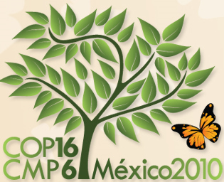 Postcard from Cancun - Knowledge sharing, capacity building and ...