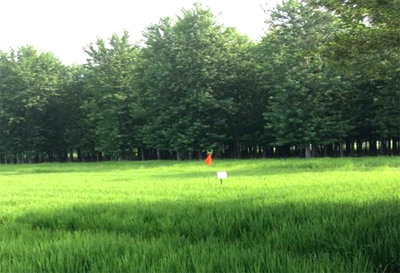 ‘Climate Smart Villages’ in Punjab, India provide lessons on climate ...