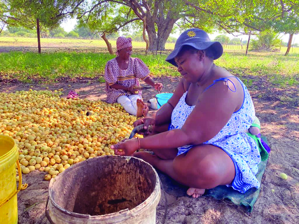 Learning Story: Lessons from mainstreaming climate change in Namibia ...