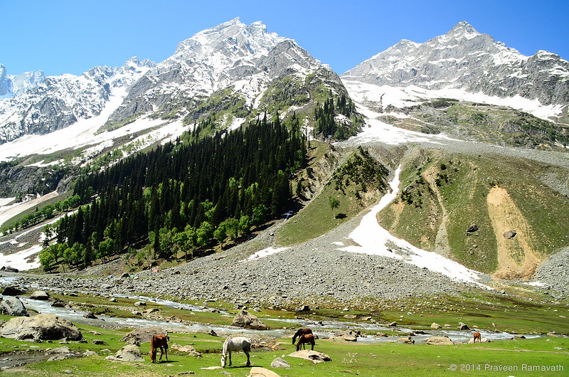 Submerging economies - What rising seas and melting ice mean for India ...