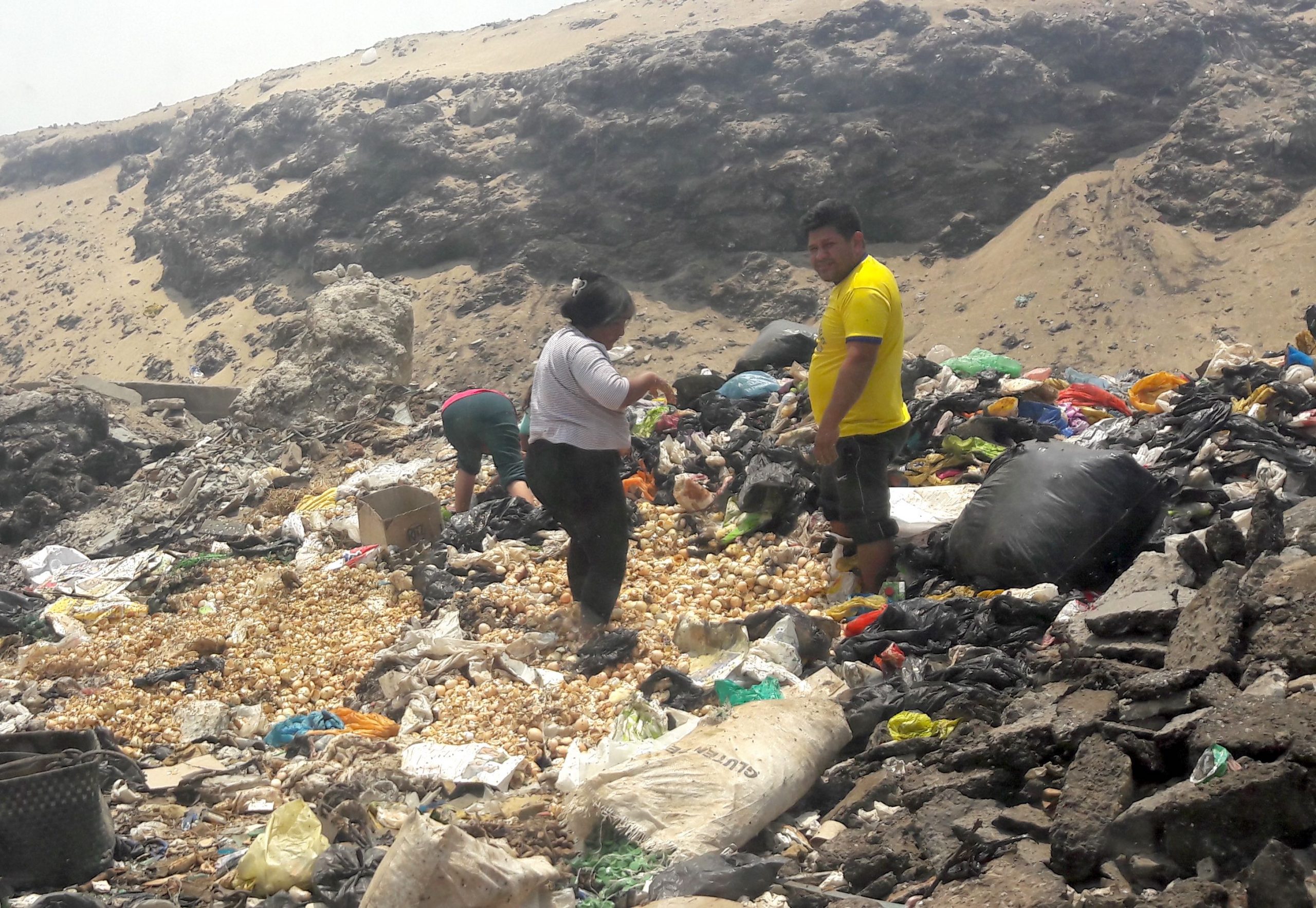 Mobilising investment for NDC implementation in Peru's waste sector ...