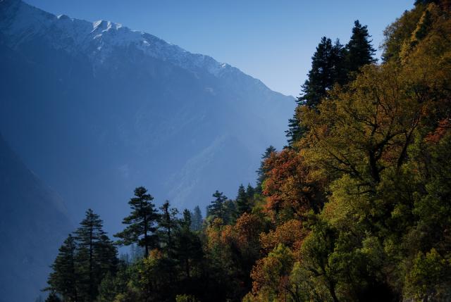 The learning curve of assessing the economics of climate change in ...