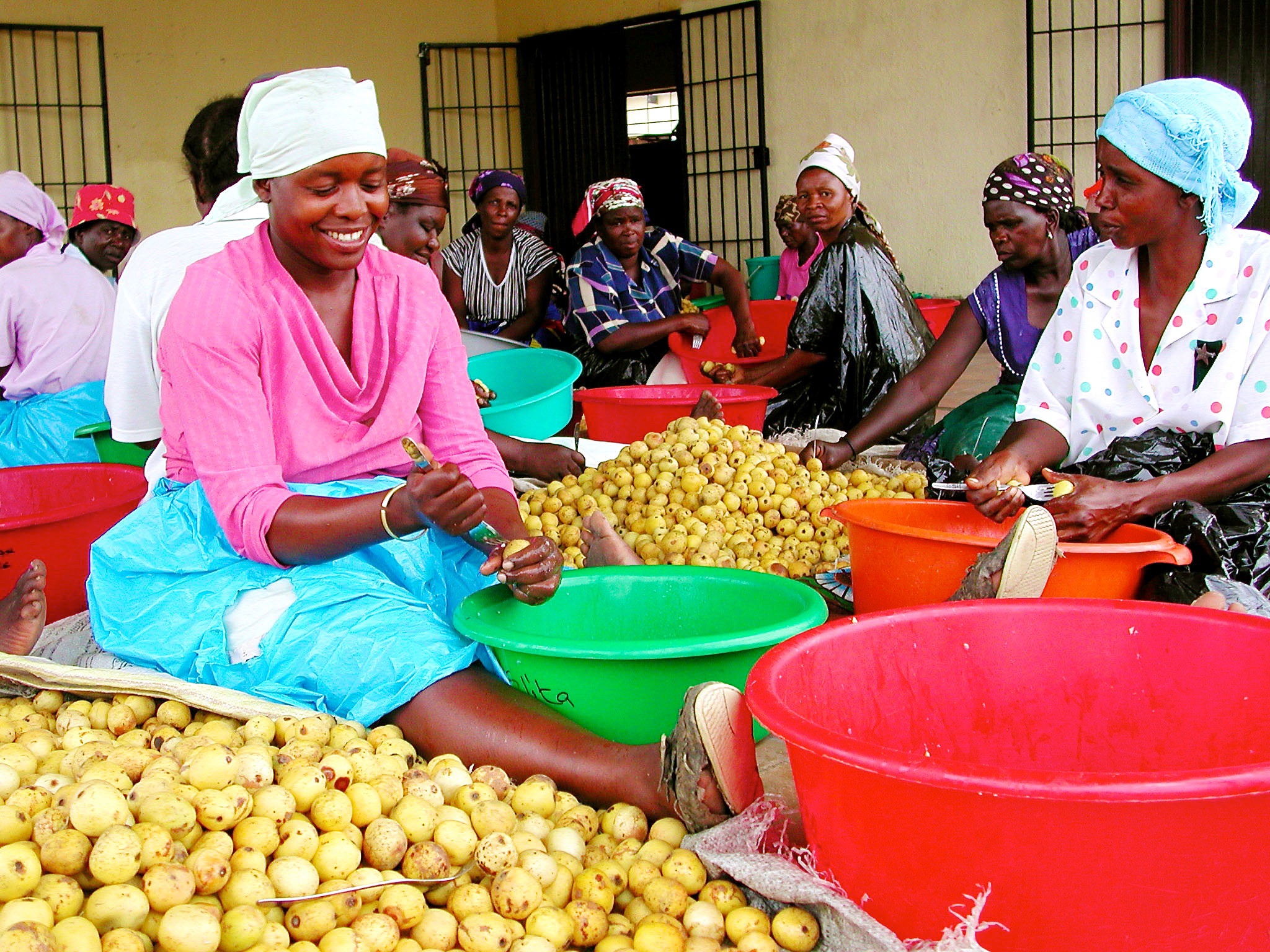 Strengthening regional climate change governance through integrating ...
