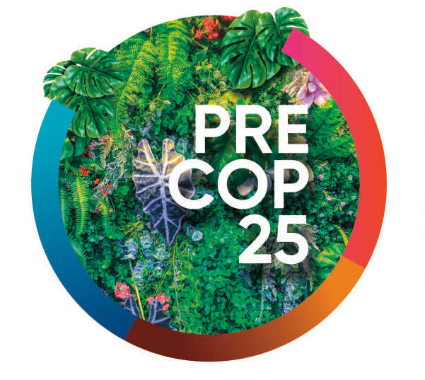 Una PreCOP no convencional que habló de soluciones | Climate ...