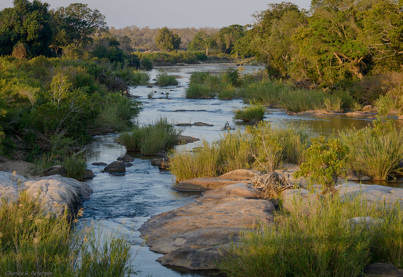 Nature for recovery and resilience | Climate & Development Knowledge ...