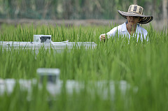 El Fondo Verde del Clima – “En marcha, pero debe mantener sus ojos en ...