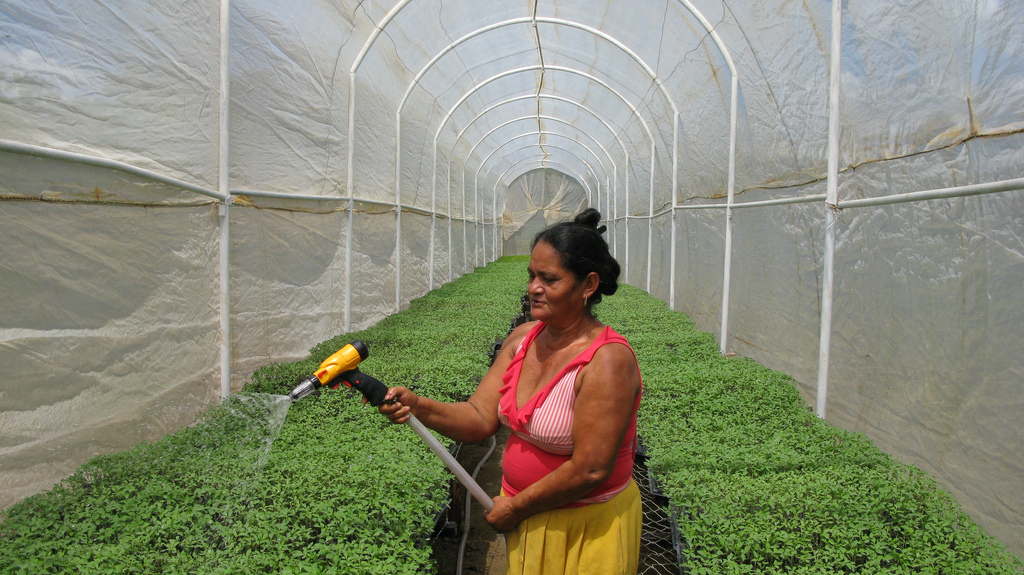 CDKN seeks your views on green growth - join the debate | Climate ...