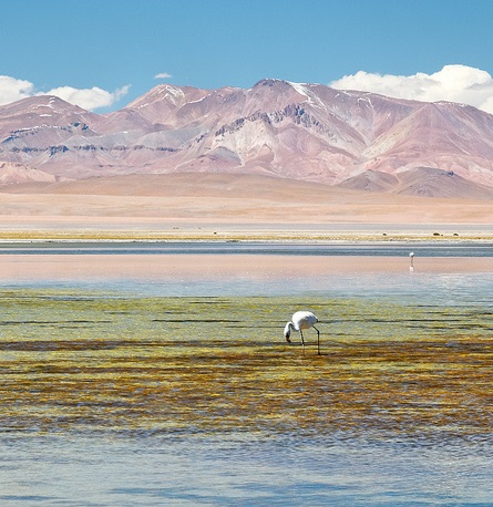 Climate action in Chile: Towards multi-level governance | Climate ...