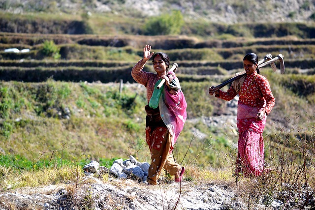 INSIDE STORY: Climate-smart agriculture - Learning from three agro ...