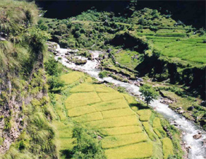 Research on small and medium scale Irrigation systems in Nepal ...