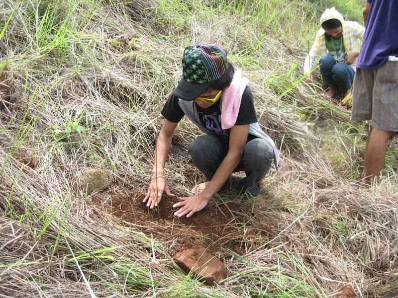 Nature-based solutions, climate change and the current crisis | Climate ...
