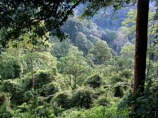 Economic assessment of the impacts of climate change in Uganda ...